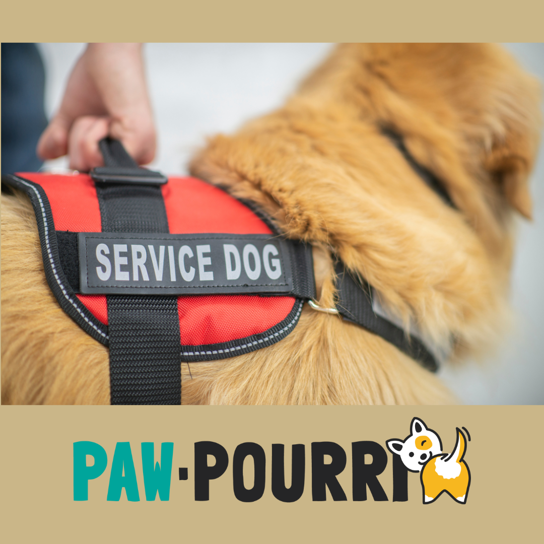 Paw-Pourri: The Perfect Addition to Your Service Dog's Routine – Sneak ...